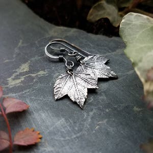 Acer Spp. - Tiny Maple Tree Leaf - Pure Silver Real Botanical Leaf ...