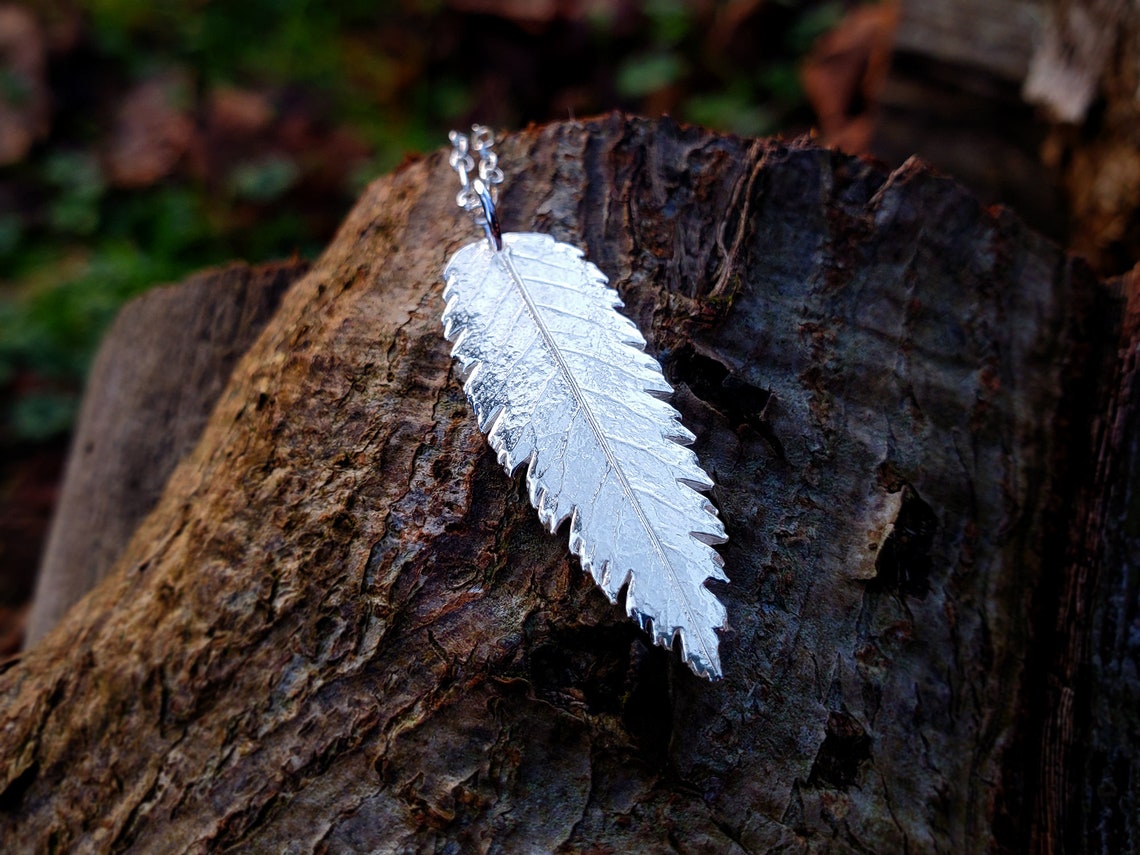 Sorbus Aucuparia - Rowan Tree (mountain Ash) Cut Out -pure Silver Real ...