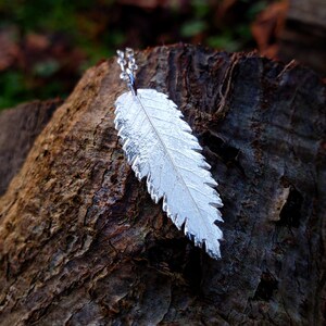 Sorbus Aucuparia - Rowan Tree (mountain Ash) Cut Out -pure Silver Real ...