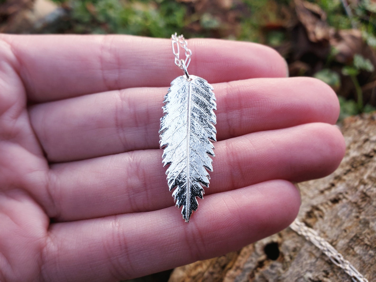 Sorbus Aucuparia - Rowan Tree (mountain Ash) Cut Out -pure Silver Real ...