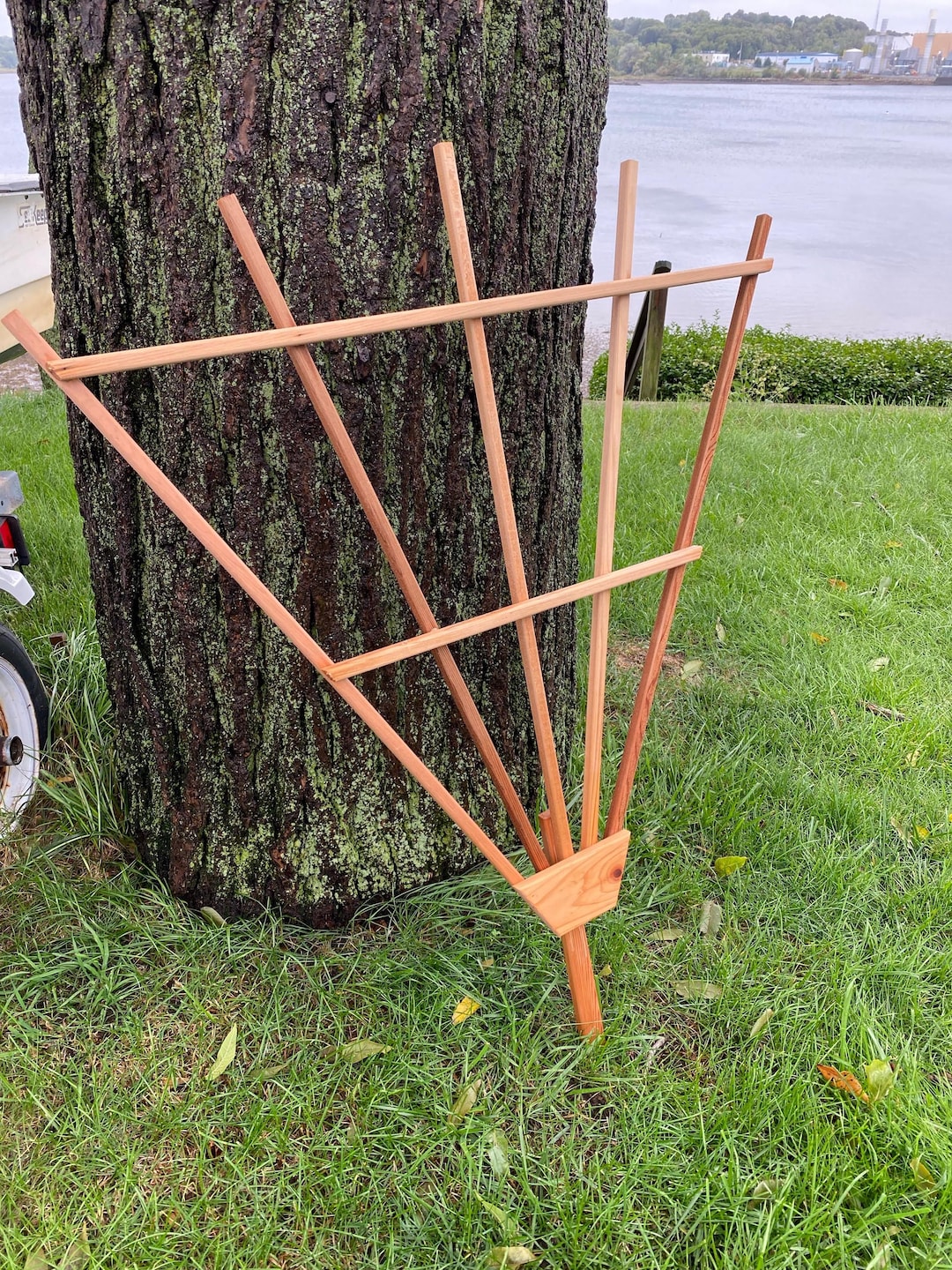 Cedar Fan Trellis 3 Pack - Etsy
