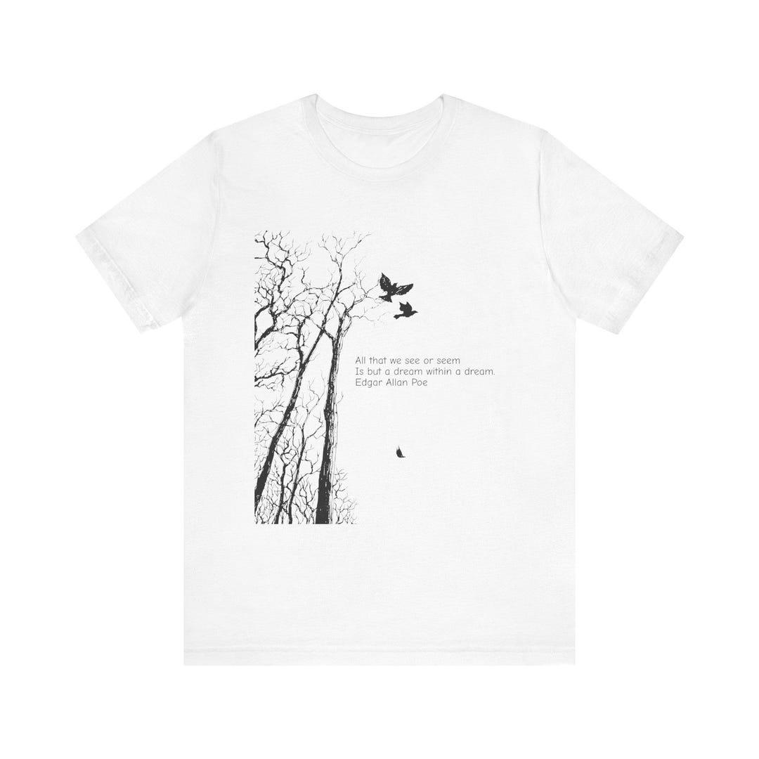 Edgar Allan Poe Graphic Tee: Dark Academia Unisex T-shirt - Etsy