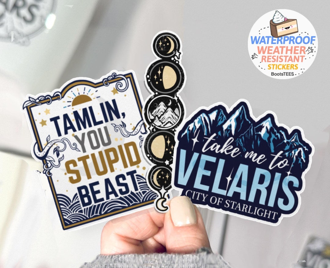 ACOTAR Sticker Set, Licensed Art, Fantasy Romance Book Stickers, Court ...