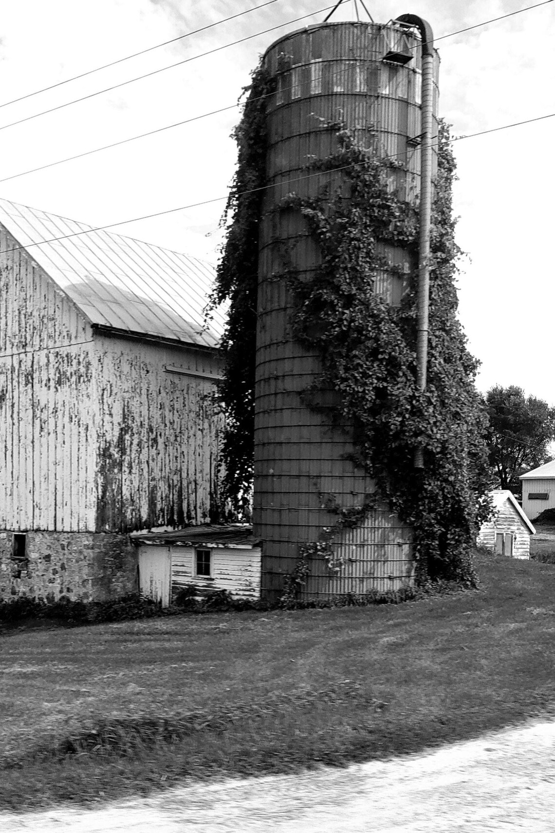 Barnyard Farmhouse Buildings - Etsy