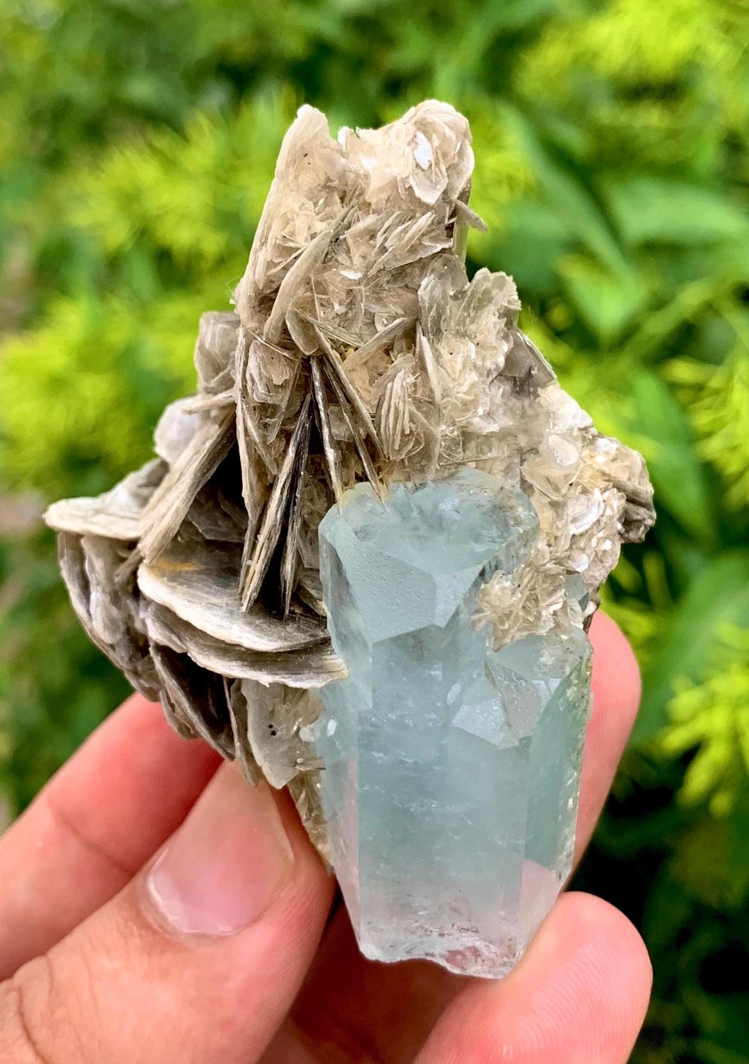 Top Quality Aquamarine Transparent and Terminated Crystal Cluster ...