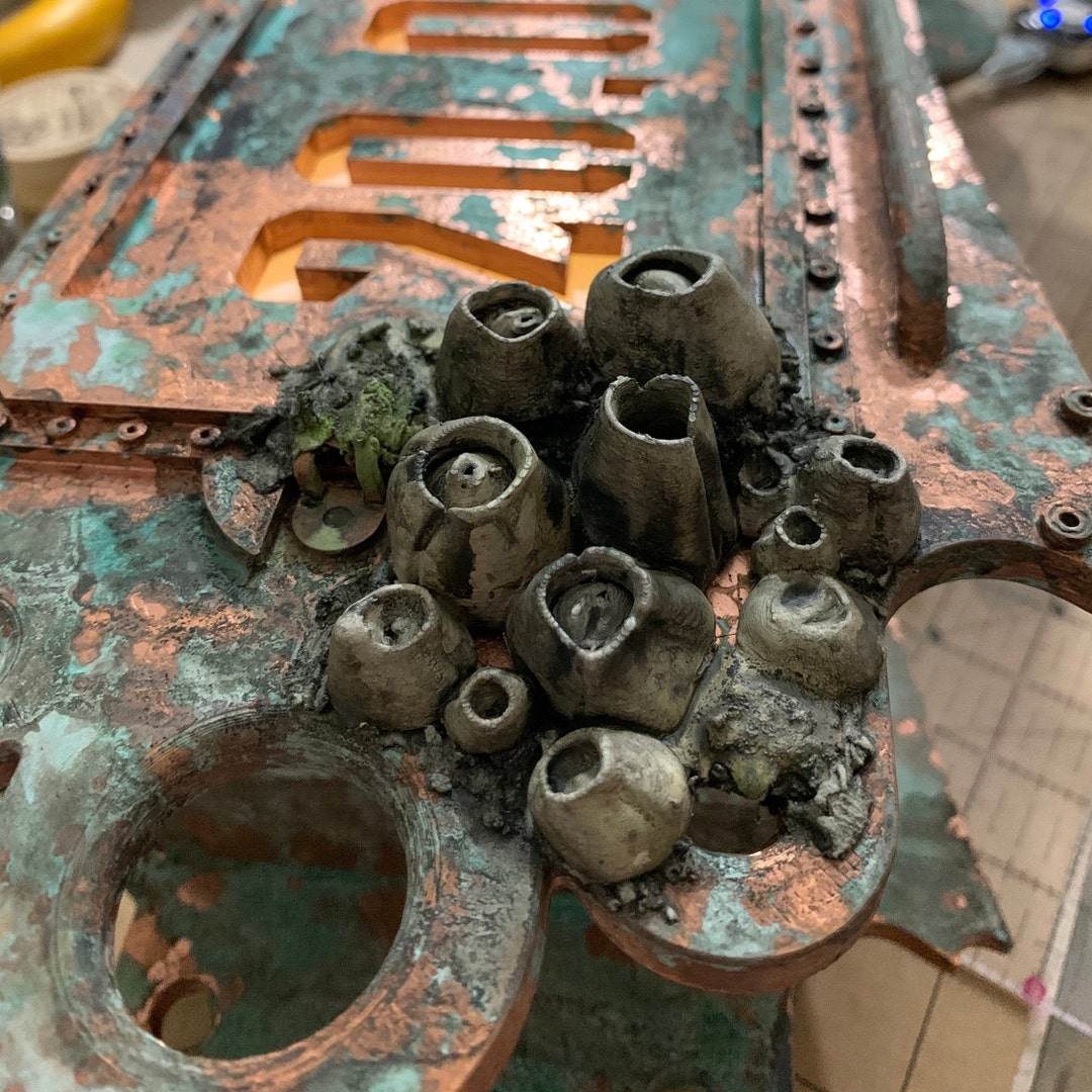 Barnacles, Ocean Style, Coastal, Beach Life Decor, Crafts, Barnacle ...