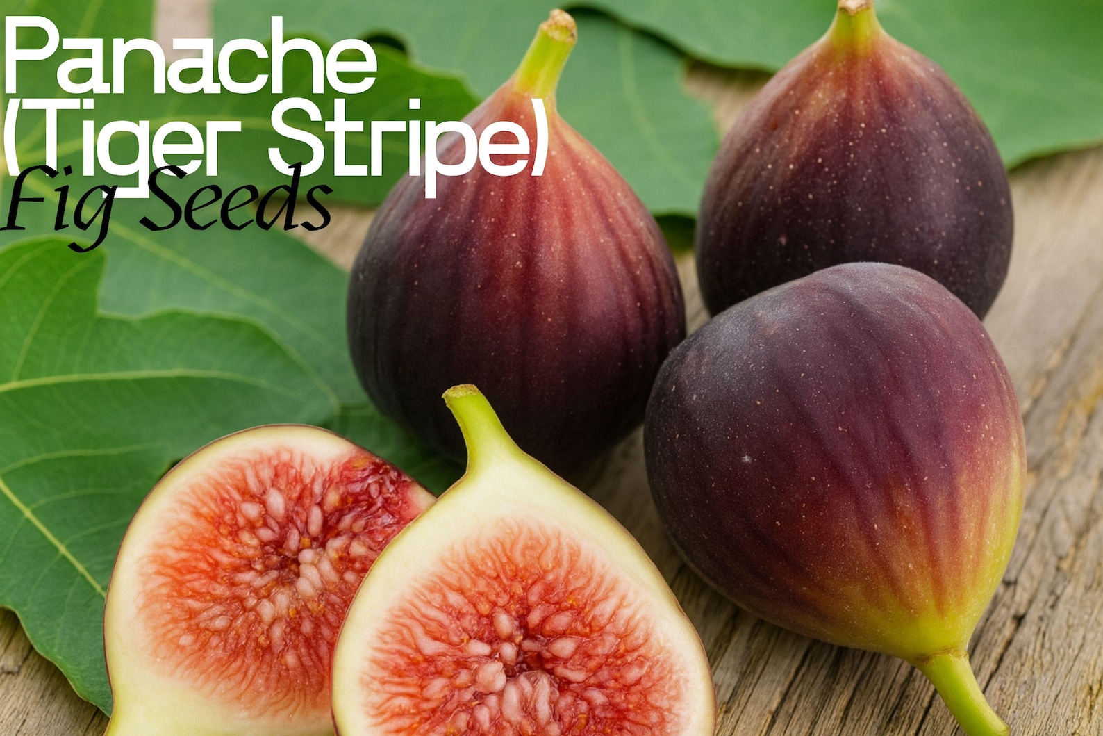 Panache Tiger Stripe Fig Seeds Striped Fruit Tree 100 Seed Pack - Etsy