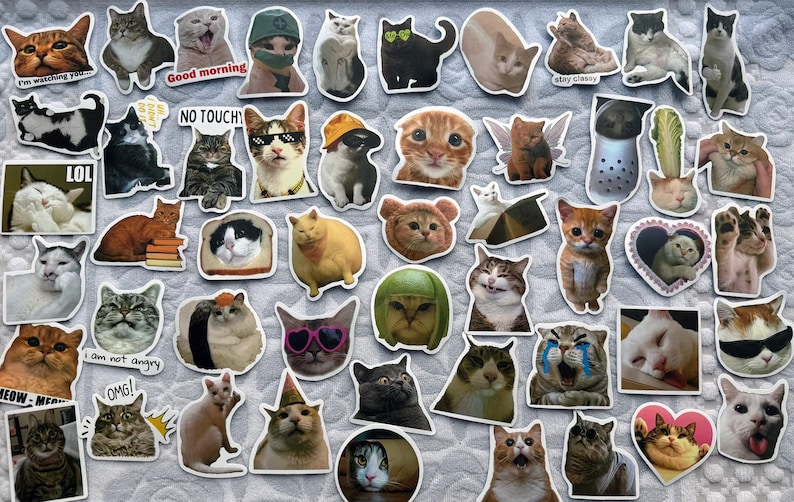 Funny Cat Meme Sticker Pack – 50 Pcs Cute & Hilarious Cat Face Stickers ...