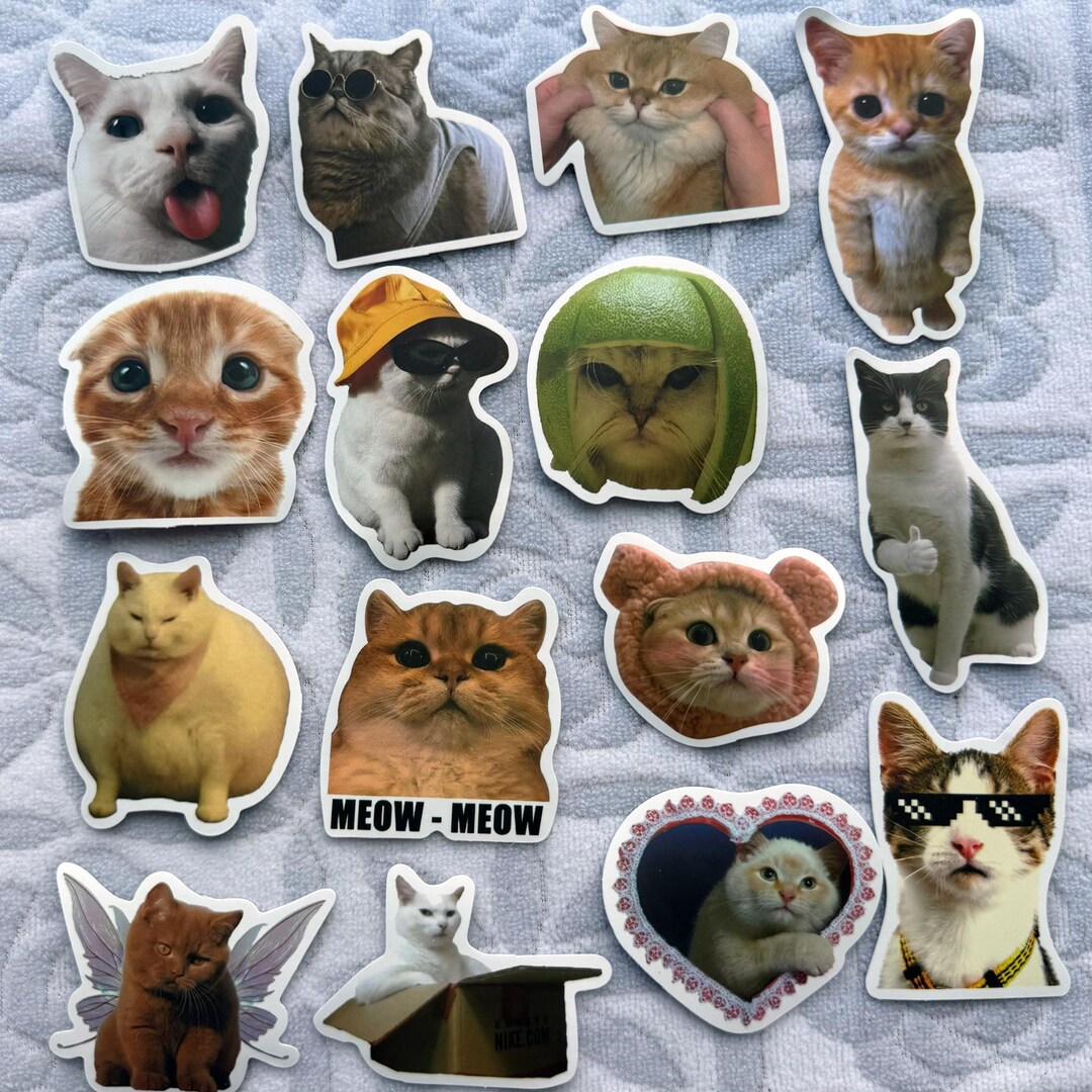 Funny Cat Meme Sticker Pack – 50 Pcs Cute & Hilarious Cat Face Stickers ...
