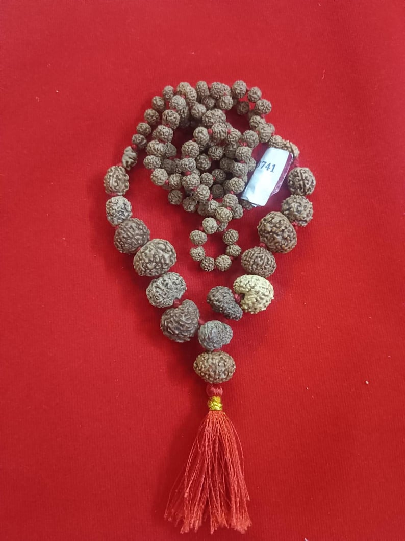 1-14 Mukhi Siddha Rudraksha Mala Sacred Mala Rare-certified A++ Lab ...