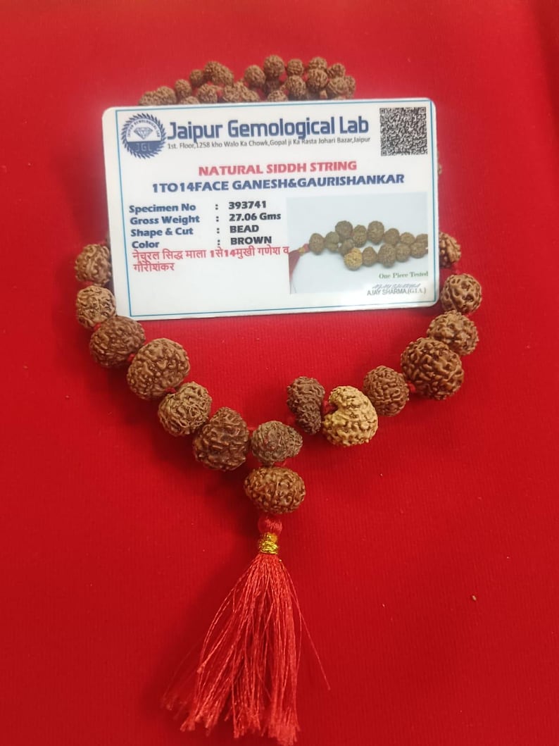1-14 Mukhi Siddha Rudraksha Mala Sacred Mala Rare-certified A++ Lab ...