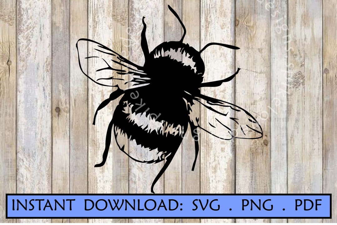 Bumble Bee SVG Bee Svg Honey Bee Cut File Fly Wasp Insect Bug Nature ...