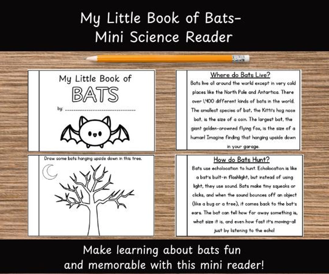 My Little Book of Bats – Mini Science Reader (grades 1-4) - Etsy