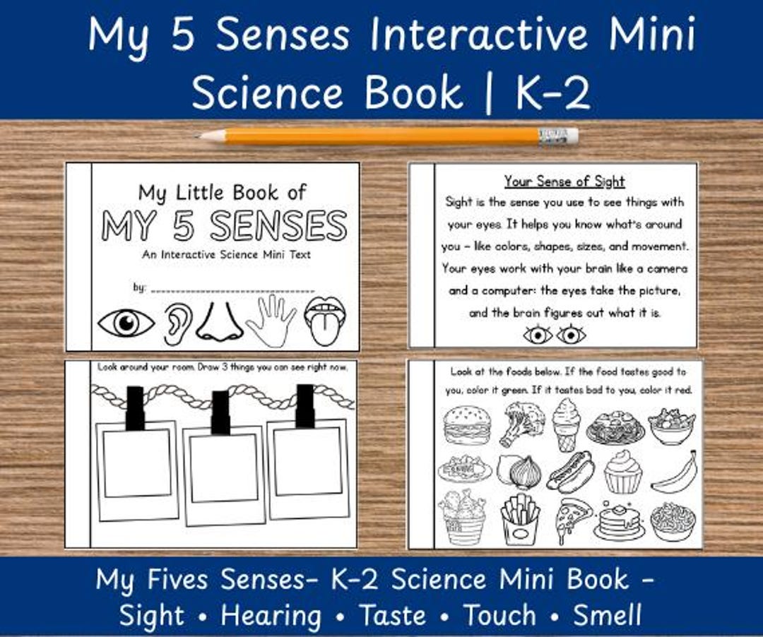 My 5 Senses Interactive Mini Science Book | K–2 - Etsy