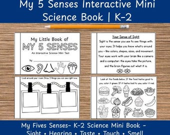 My 5 Senses Book - Etsy