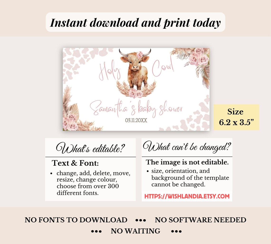 Gable Box Label Baby Shower Highland Cow, Party Favor Box Labels ...