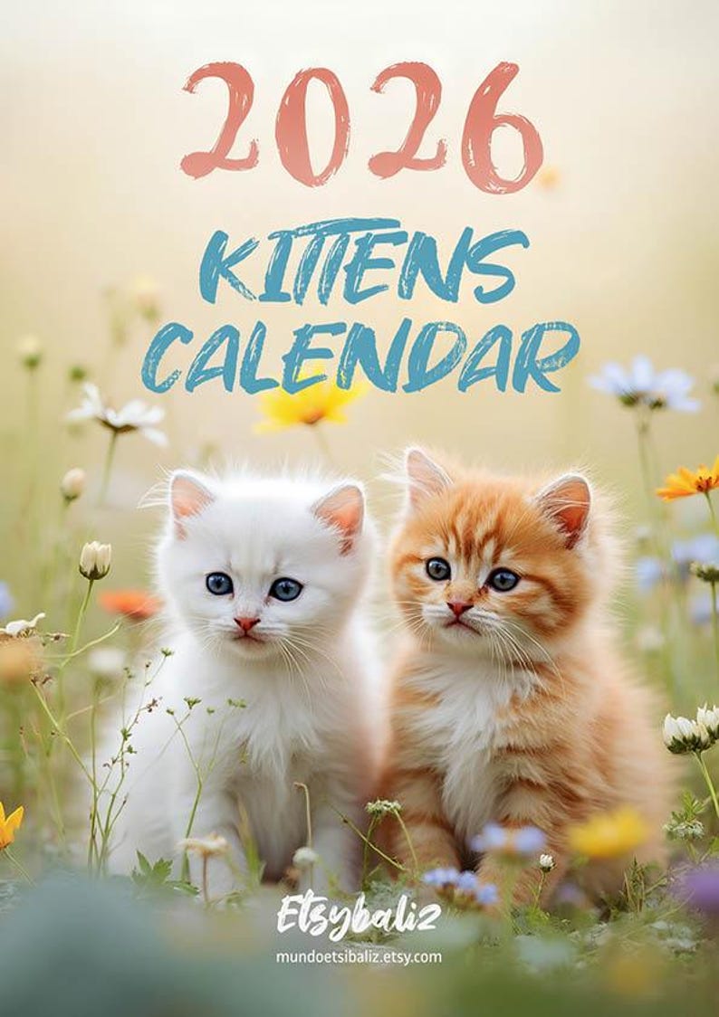2026 Kittens Calendar. Cute Kittens, Perfect Gift for Kitten Lovers - Etsy