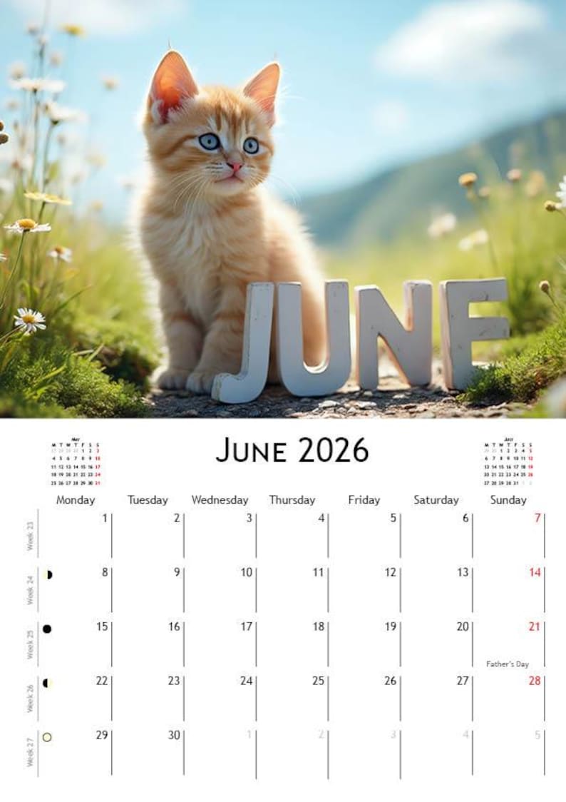 2026 Kittens Calendar. Cute Kittens, Perfect Gift for Kitten Lovers - Etsy