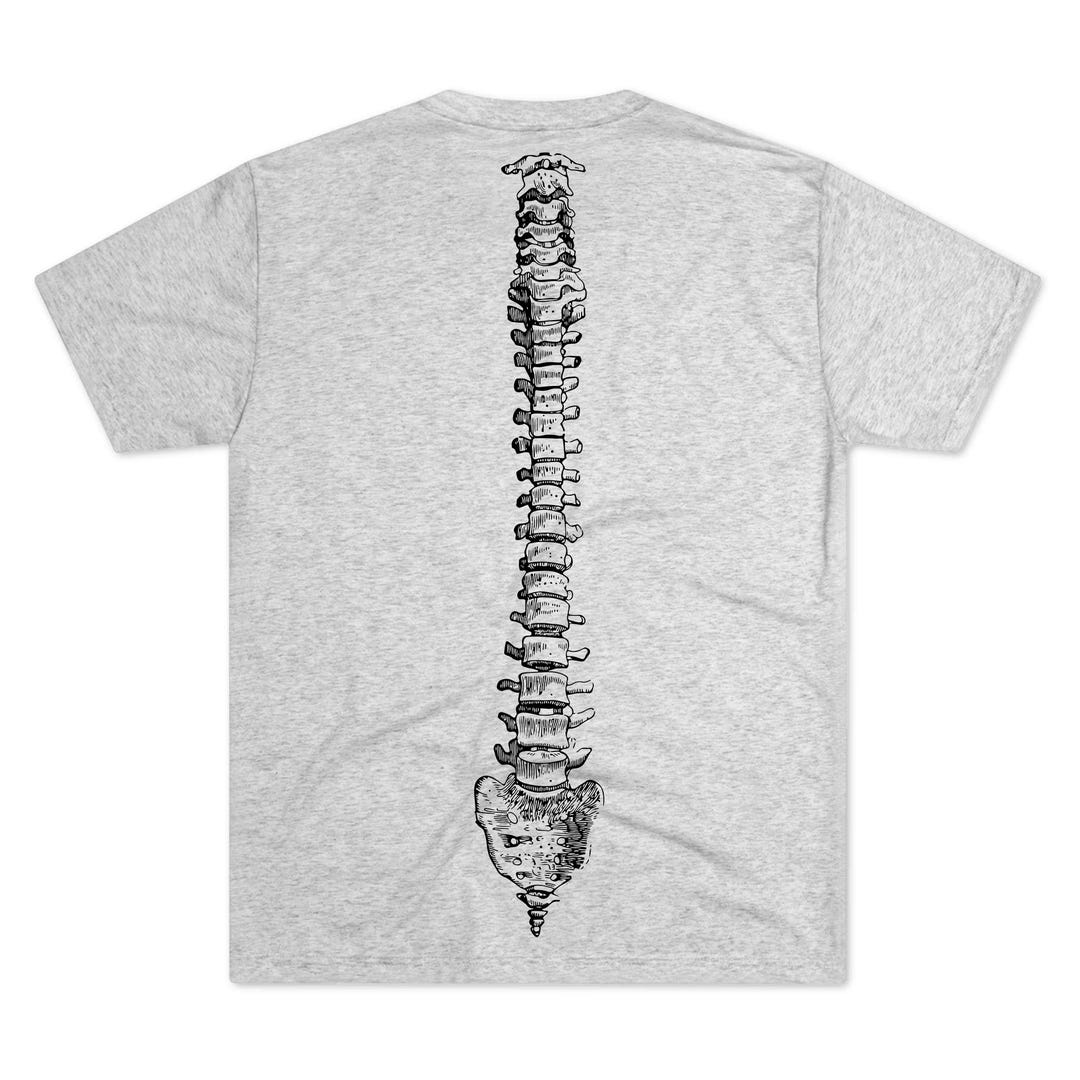 Human Spine Anatomy PNG - Medical Clipart, Skeleton Bone Anatomy Art ...