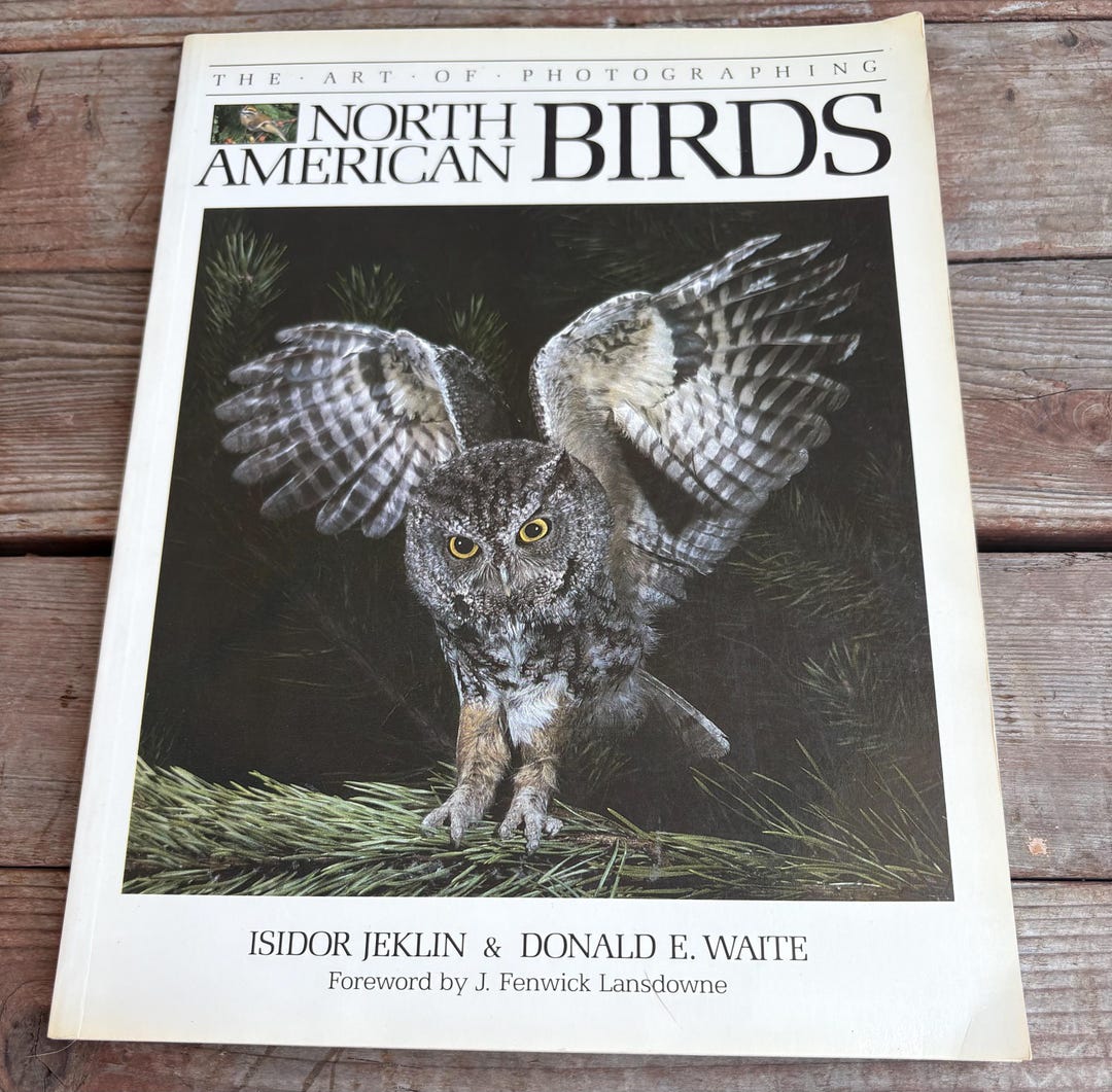 North American BIRDS - the Art of Photography- Vintage Bird Book ...