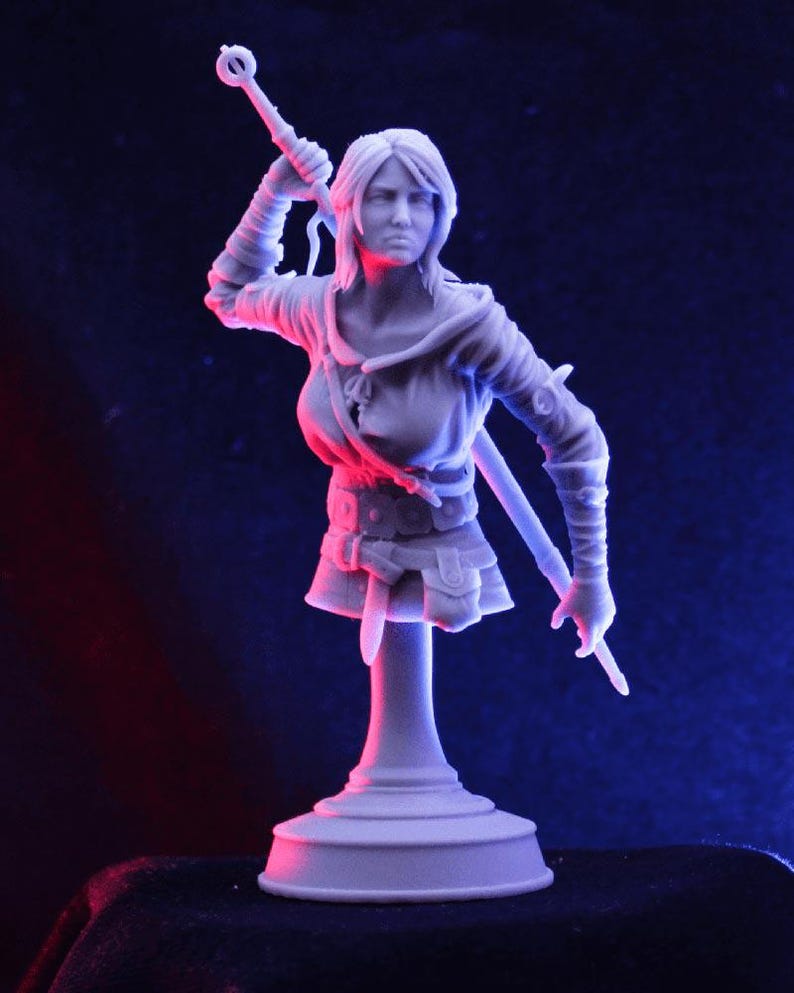 Bust of Ciri / Action Figure / Videogames / Resin / the Witcher / 3D ...