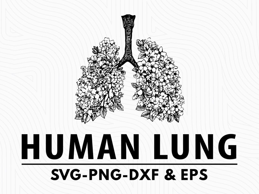 Human Lung Silhouette SVG PNG DXF Eps, Anatomy Clipart Vector, Cricut ...