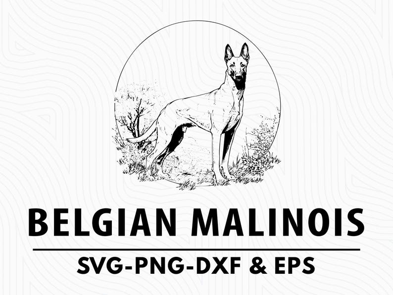 Belgian Malinois Silhouette SVG PNG DXF Eps, Dog Clipart Vector, Cricut ...
