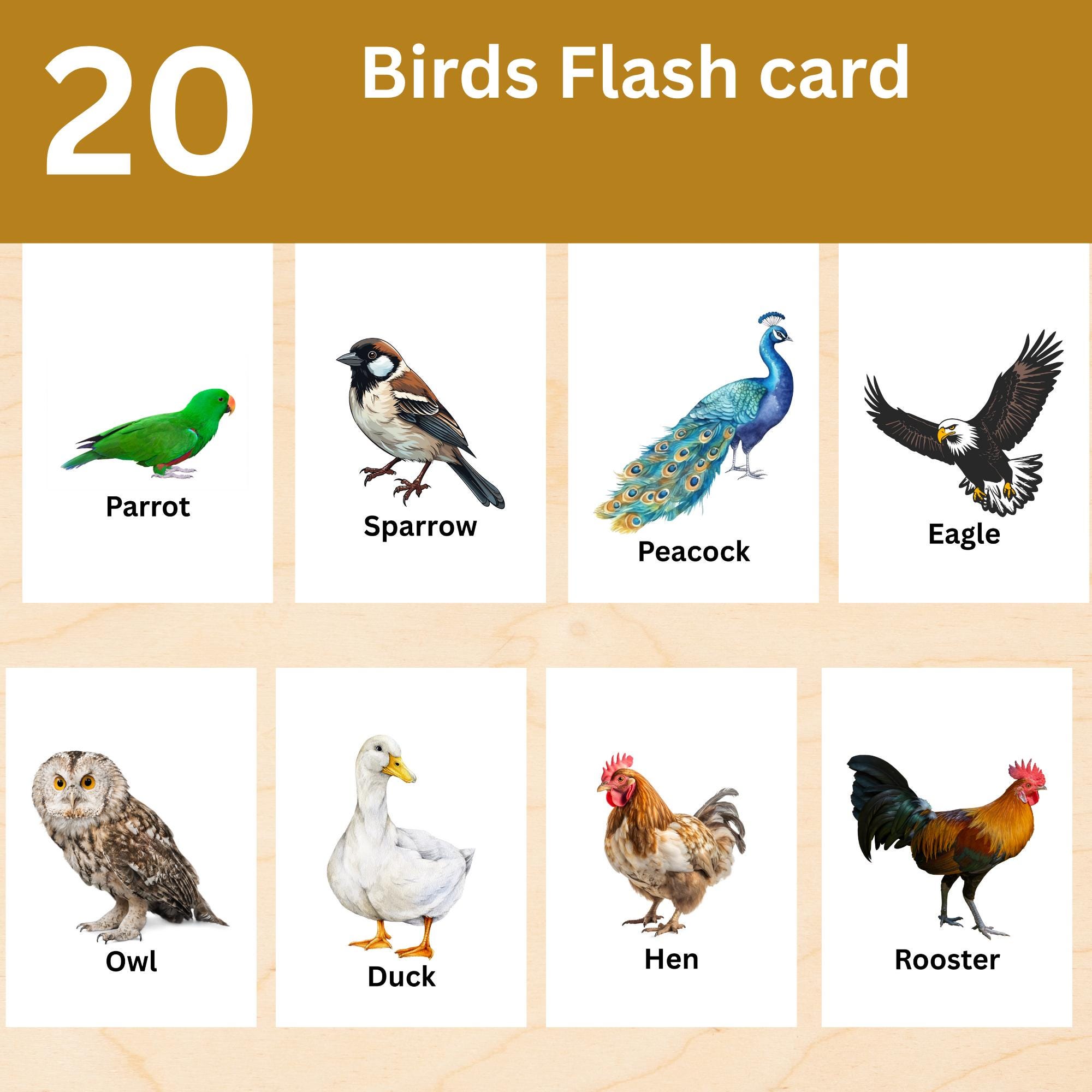 20 Birds Flashcards Printable Birds Flashcards,bird Name Flashcards ...