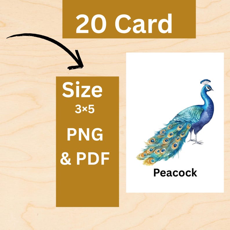 20 Birds Flashcards Printable Birds Flashcards,bird Name Flashcards ...