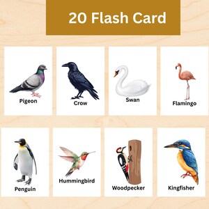 20 Birds Flashcards Printable Birds Flashcards,bird Name Flashcards ...
