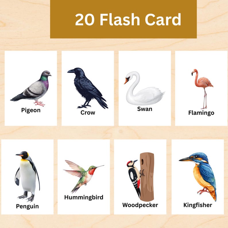 20 Birds Flashcards Printable Birds Flashcards,bird Name Flashcards ...