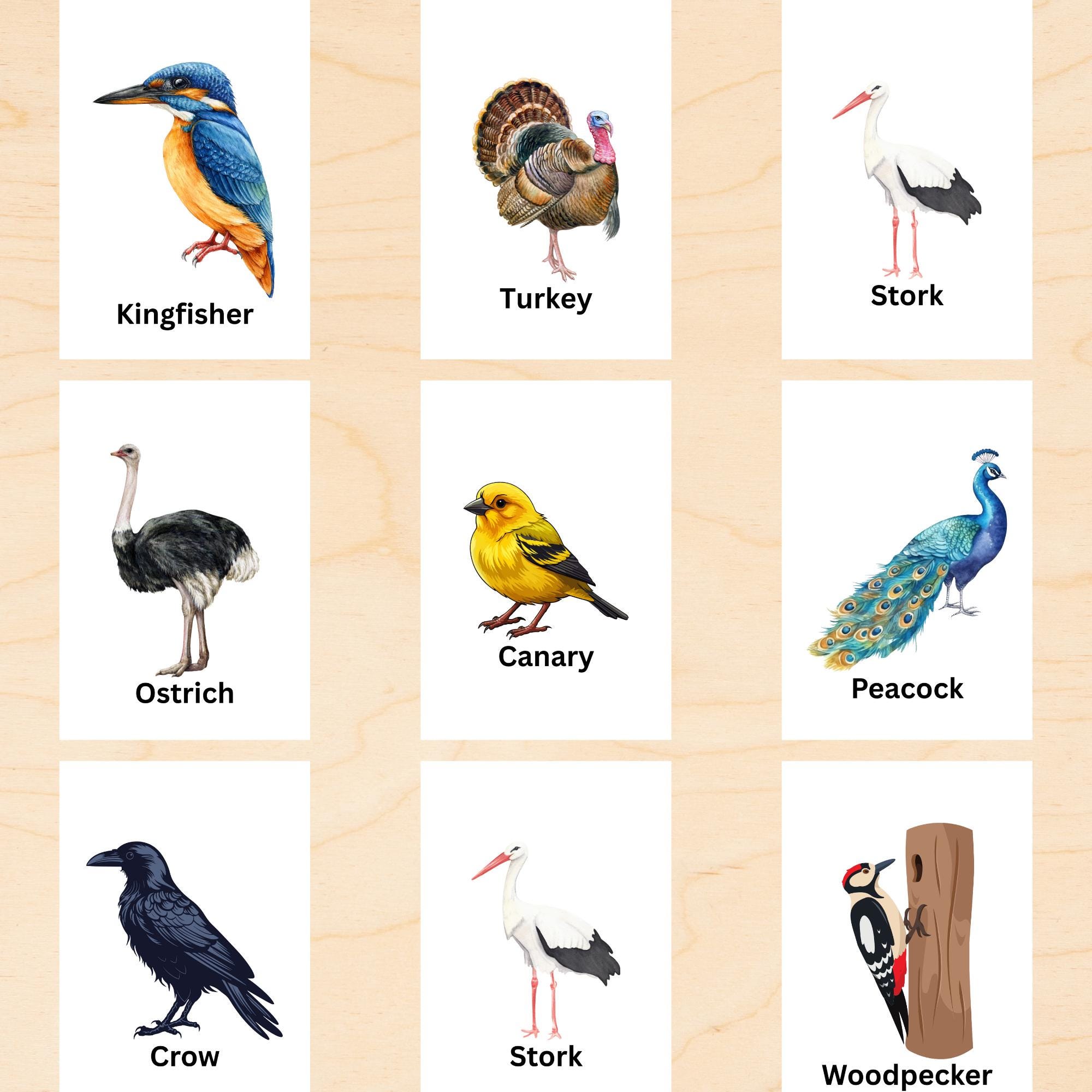 20 Birds Flashcards Printable Birds Flashcards,bird Name Flashcards ...