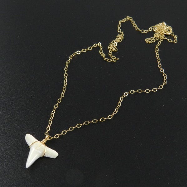 Shark Tooth Necklace - Etsy