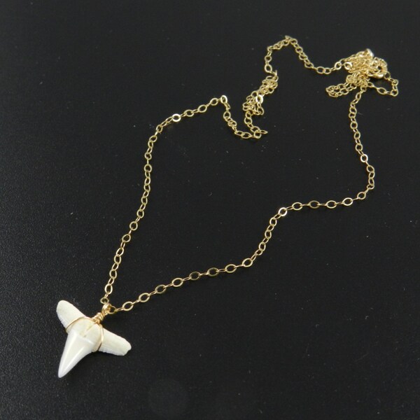 Mens Gold Shark Tooth Necklace - Etsy