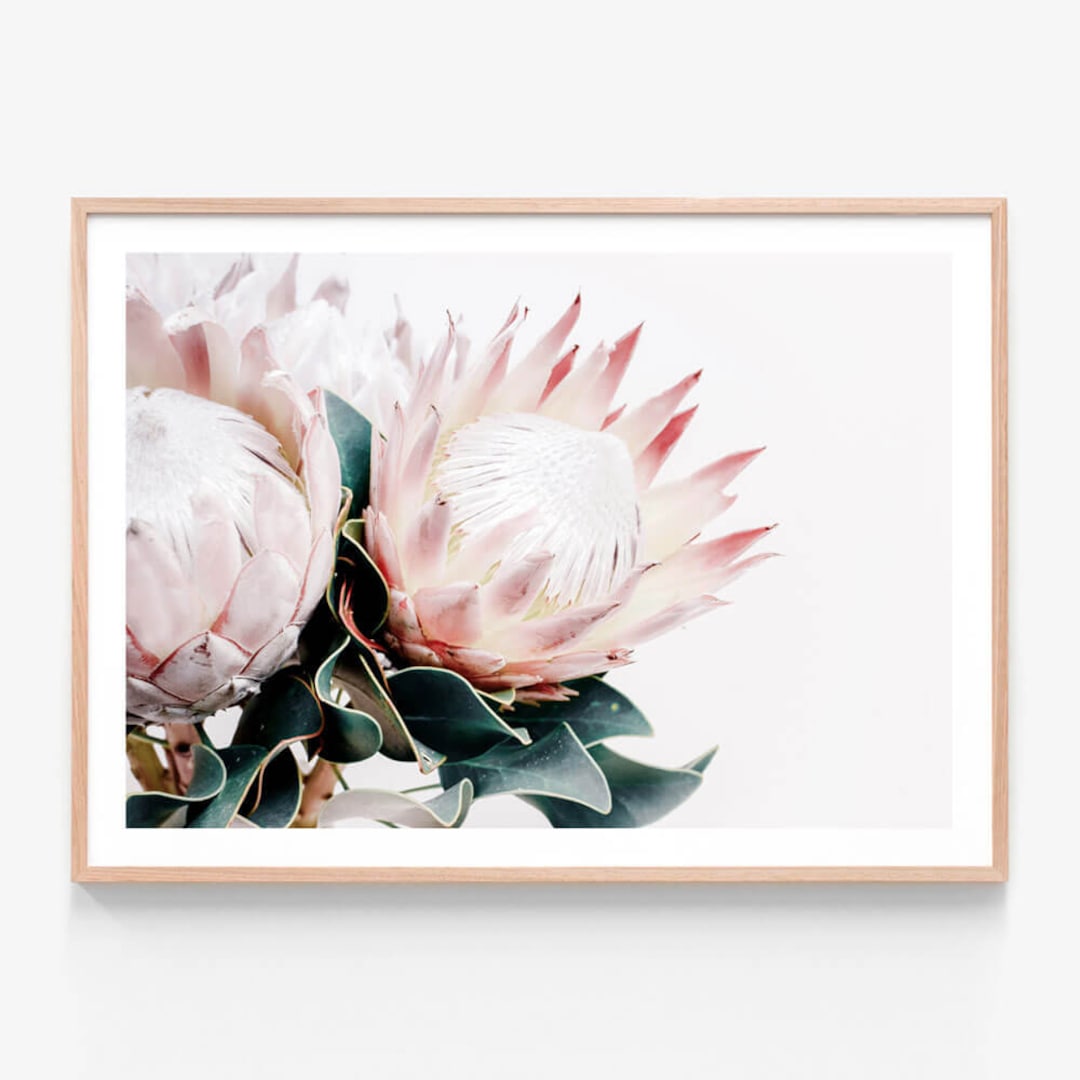 Protea Print Protea Bouquet Wall Art Australian Native Flower Bouquet ...