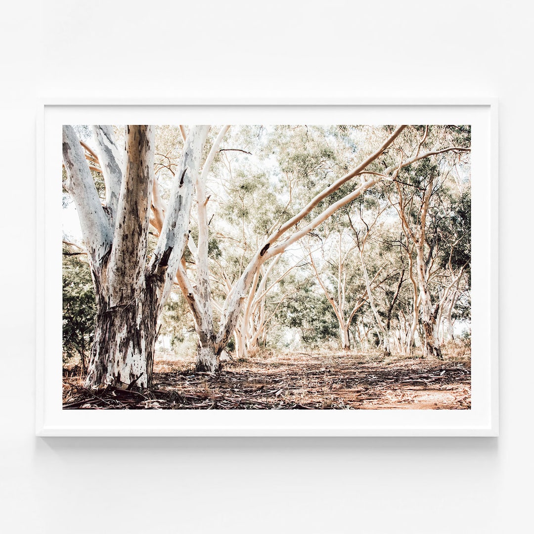 Australian Bush | Forest Path | Outback Wall Art | Aussie Photography ...
