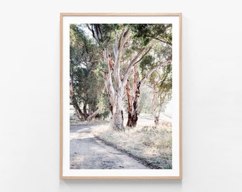 Australian Bush Art - Etsy Australia