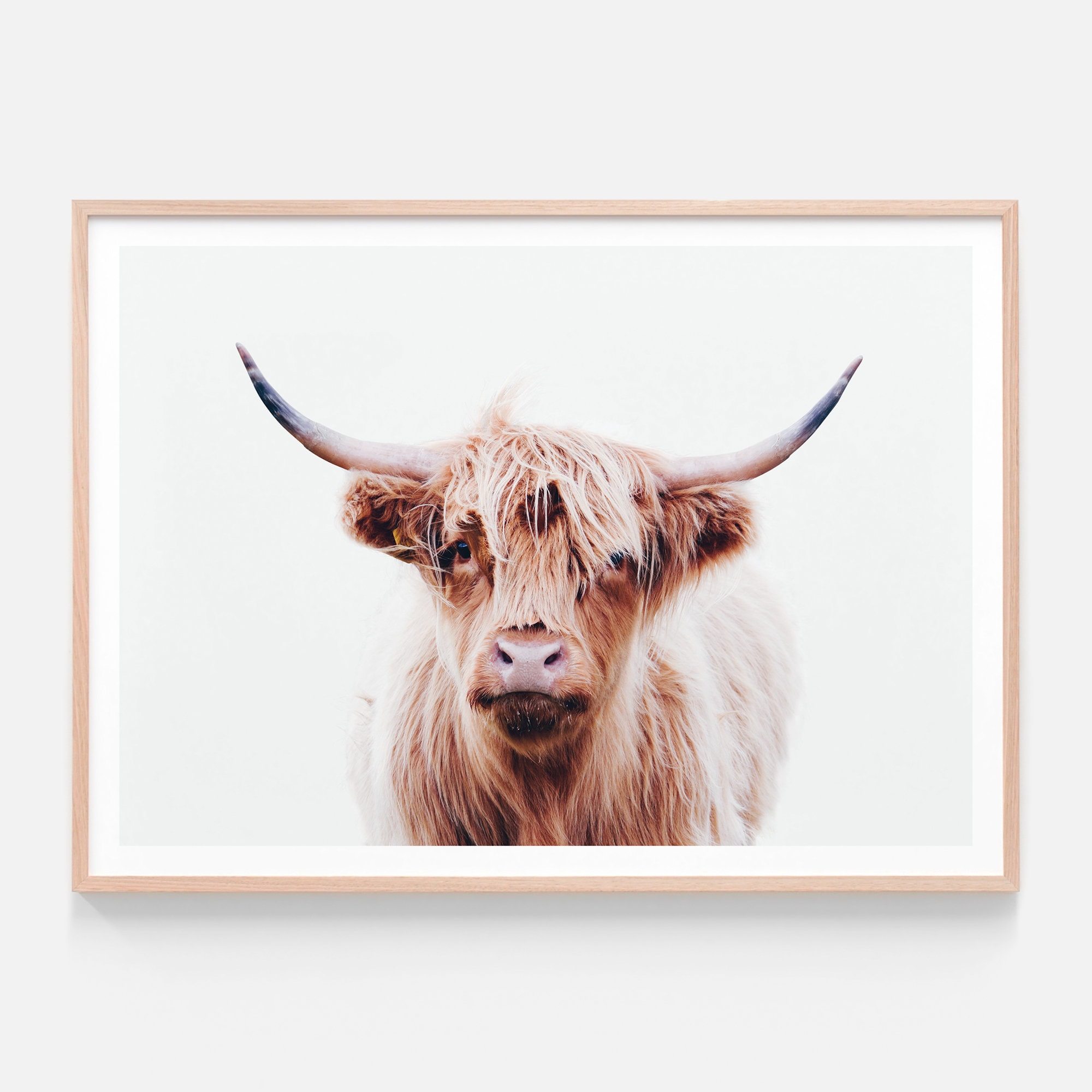 Digital Prints Scottish gift Highland cow print Highland cow gift ...