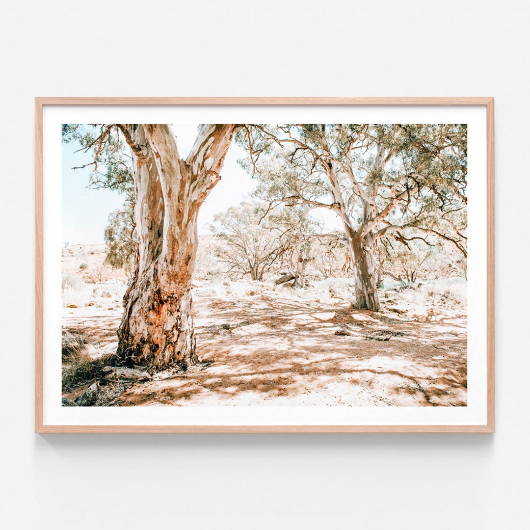 Australian Native Photography Outback Oasis Bush Wall - Etsy