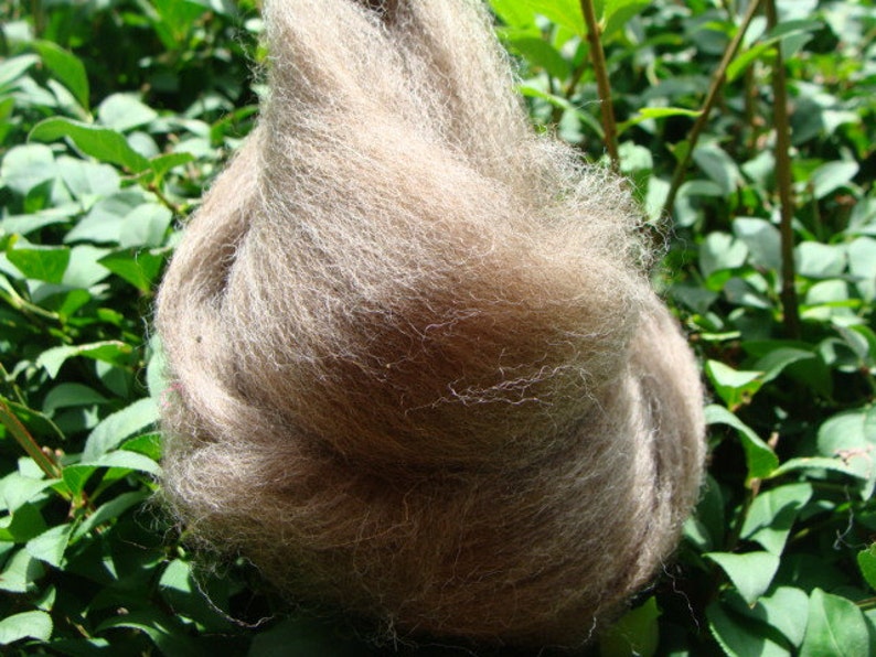 Dorper Sheep Wool Roving 4 Ounces | Etsy