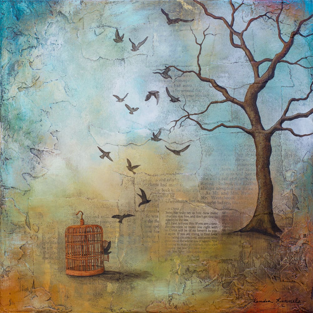 Bird Set Free From Cage