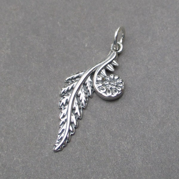 Fern Fiddlehead - Etsy