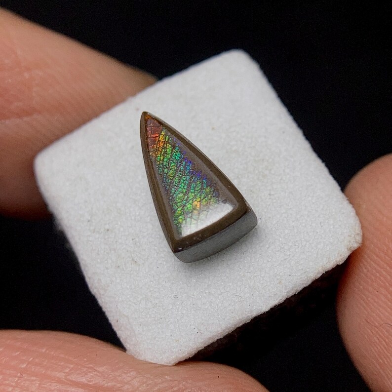 Natural Ammolite Fossil Cabochon - 1.50 Cts 8.8x4.8x3.4 MM - Vibrant ...