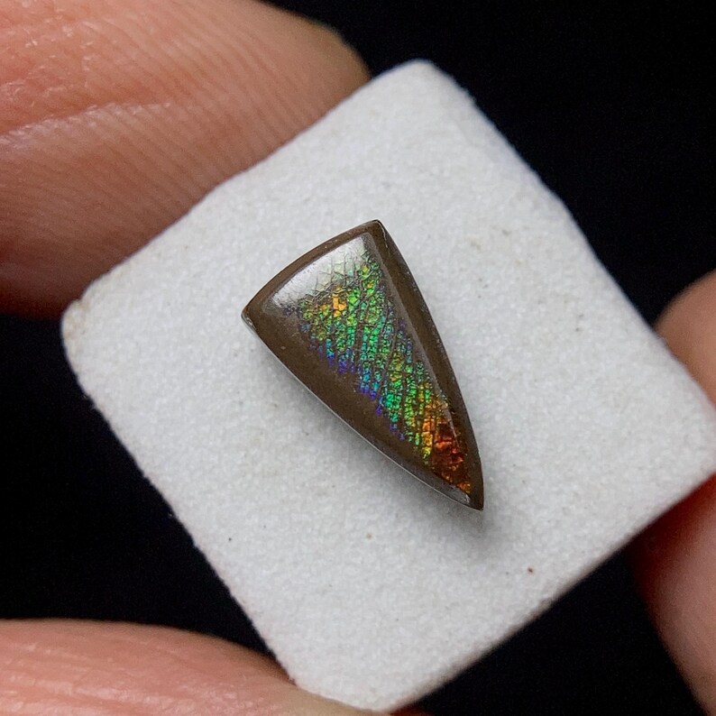Natural Ammolite Fossil Cabochon - 1.50 Cts 8.8x4.8x3.4 MM - Vibrant ...