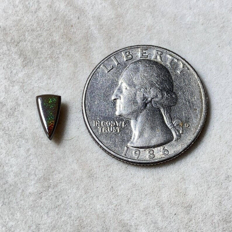 Natural Ammolite Fossil Cabochon - 1.50 Cts 8.8x4.8x3.4 MM - Vibrant ...