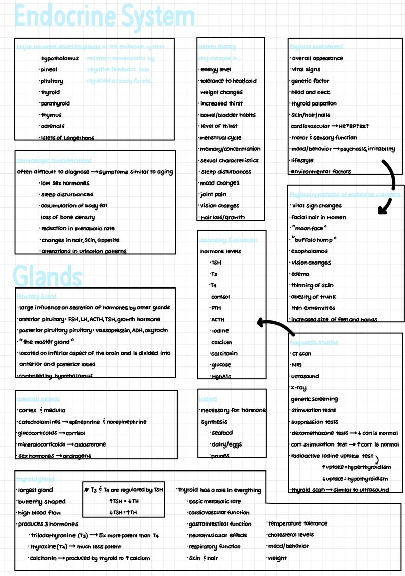 Endocrine Nursing Notes | NCLEX Study Guide PDF | Diabetes, Thyroid ...