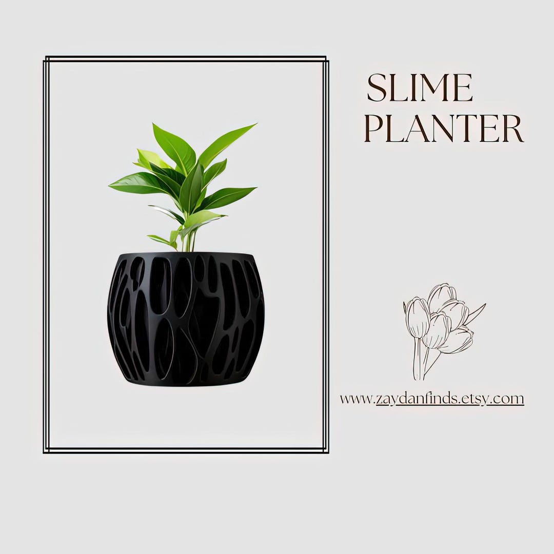 3D Printed Slime Plant Pot, Modern Eco-friendly Biodegradable Succulent ...