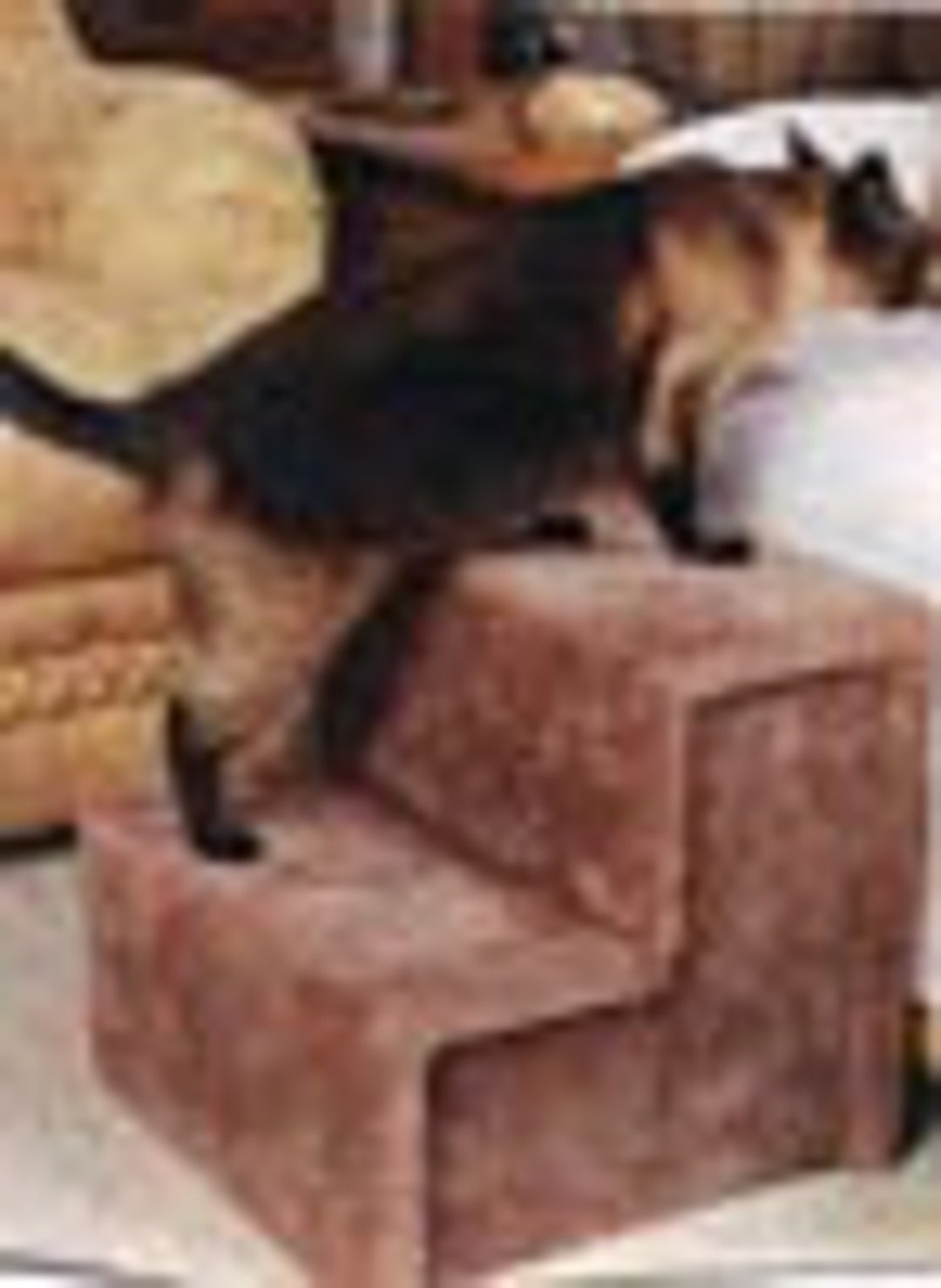 Booster Steps - Etsy