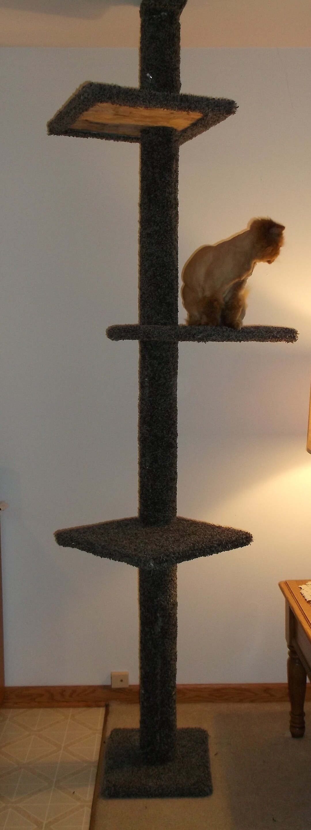 8 Foot Floor to Ceiling Climbing Tree - Etsy