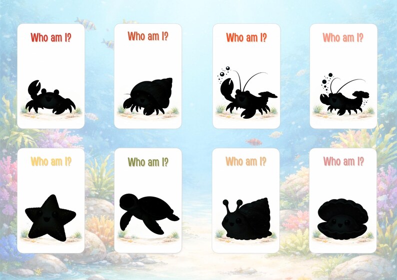 My Sea Animal Friends – Ocean Animals Educational Cards (printable PDF ...